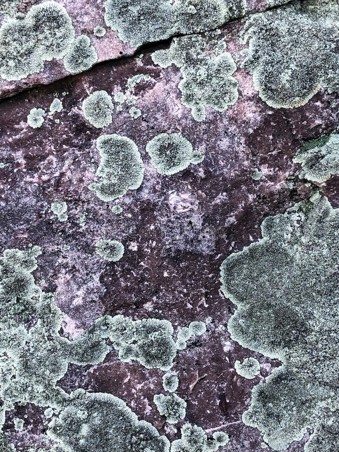 Purple Rock with Gray Spots Background Stock Photo - Image of ...