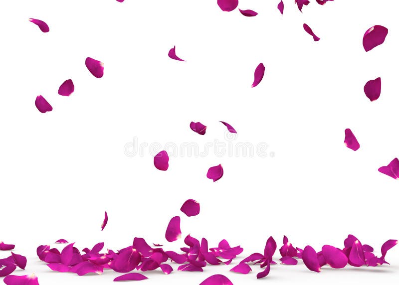113 Purple Rose Petals Falling Stock Photos - Free & Royalty-Free Stock ...