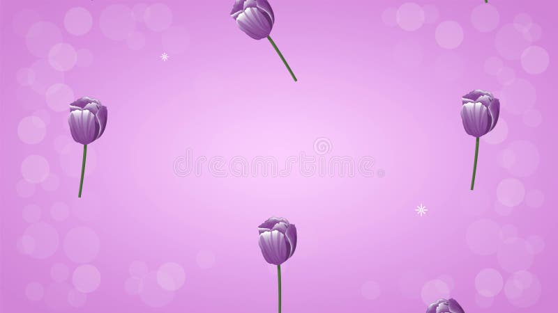 Flowers Pattern Animated on Purple Background Stock Footage - Video of ...