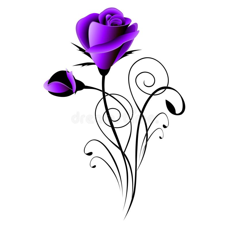 Purple Roses on a White Background, Design Element. Stock Vector ...