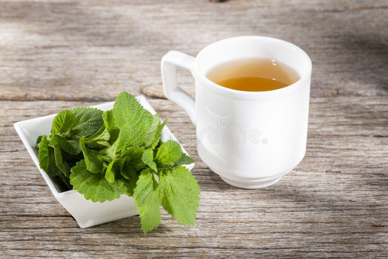 Purple Sage Plant and Tea on the Table Stock Image - Image of sage ...