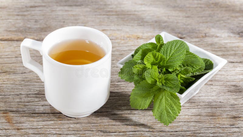 Purple Sage Plant and Tea on the Table Stock Photo - Image of relief ...