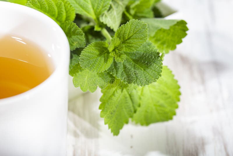 Purple Sage Plant and Tea on the Table Stock Image - Image of brazil ...