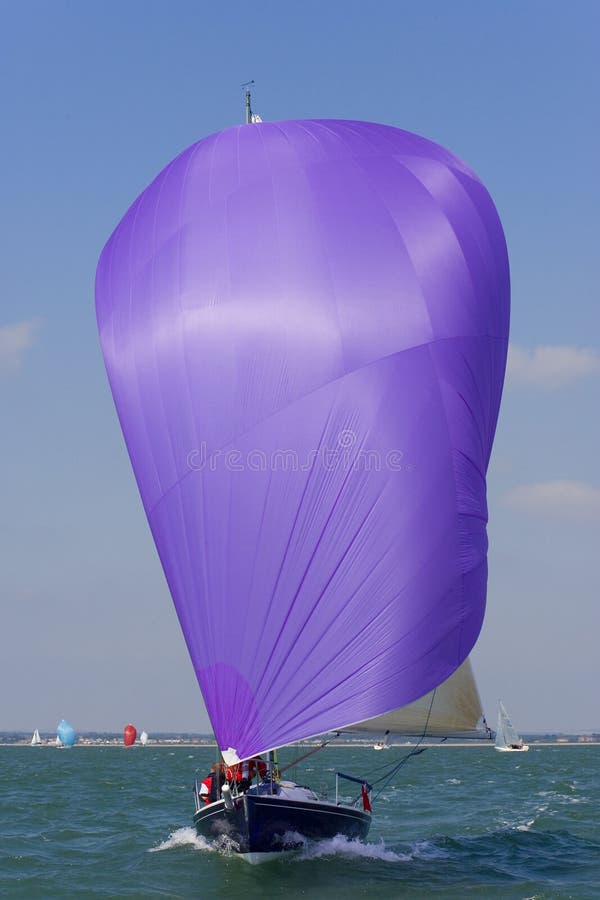 Purple Sail stock photo. Image of solent, prize, navy - 1070056