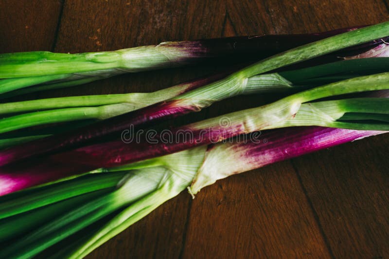 Purple Scallion Lines Composition Stock Photo - Image of green ...