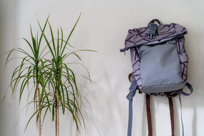Purple School Backpack Hanging on the Wall Stock Image - Image of ...