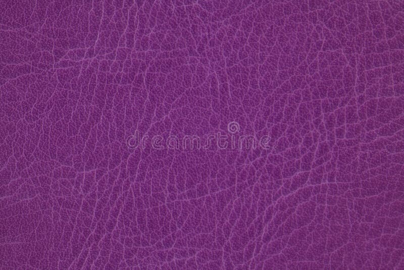 Purple skin texture stock photo. Image of skin, close - 137470276