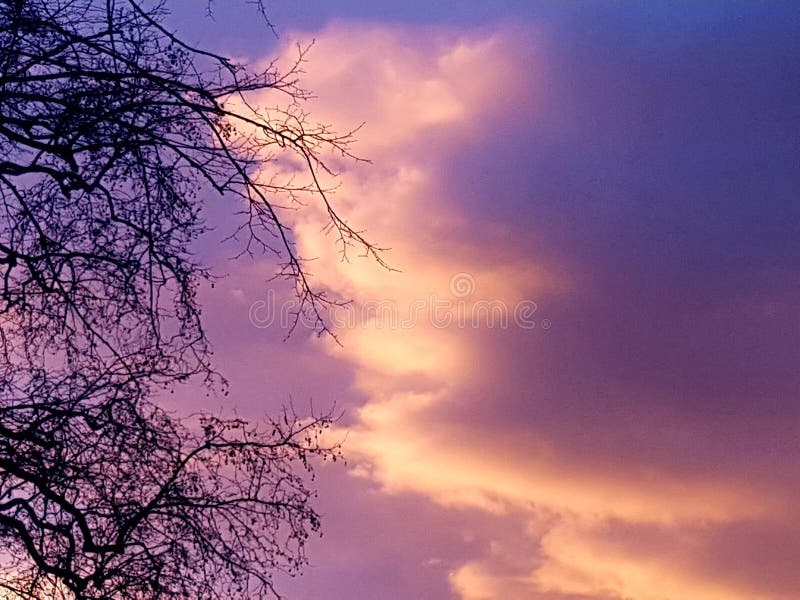 Purple Sky, Orange Clouds and a Tree Stock Photo - Image of orange ...