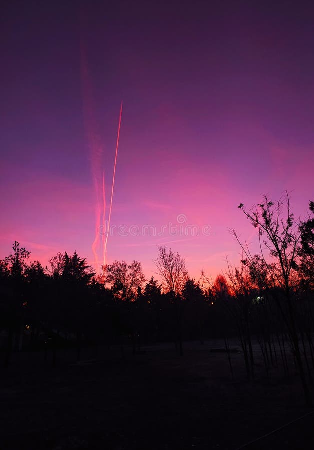 Purple Sky and Tree in Turkey, Ankara Stock Image - Image of ankara ...