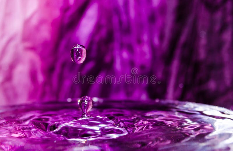Purple stock photo. Image of purple, drops, water, macro - 109522332