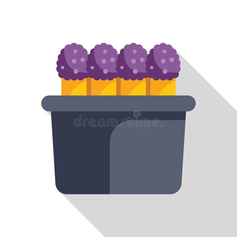 Purple Spherical Flowers Growing in a Rectangular Pot with Long Shadow ...