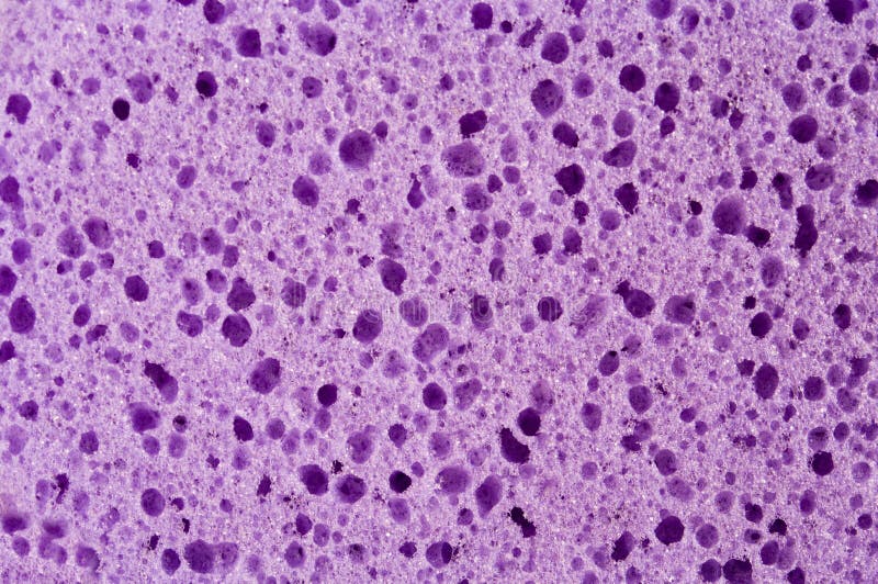 Purple sponge stock image. Image of detail, sponge, abstract - 86378077