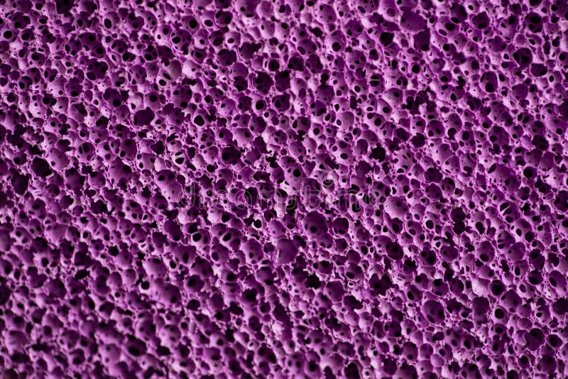 206 Porous Texture Sponge Purple Stock Photos - Free & Royalty-Free ...