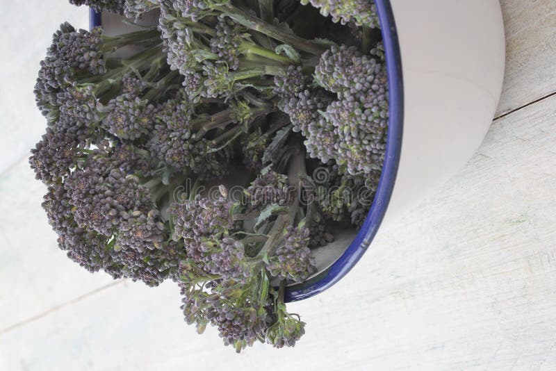 Purple sprouting broccoli stock image. Image of cooking - 61845395