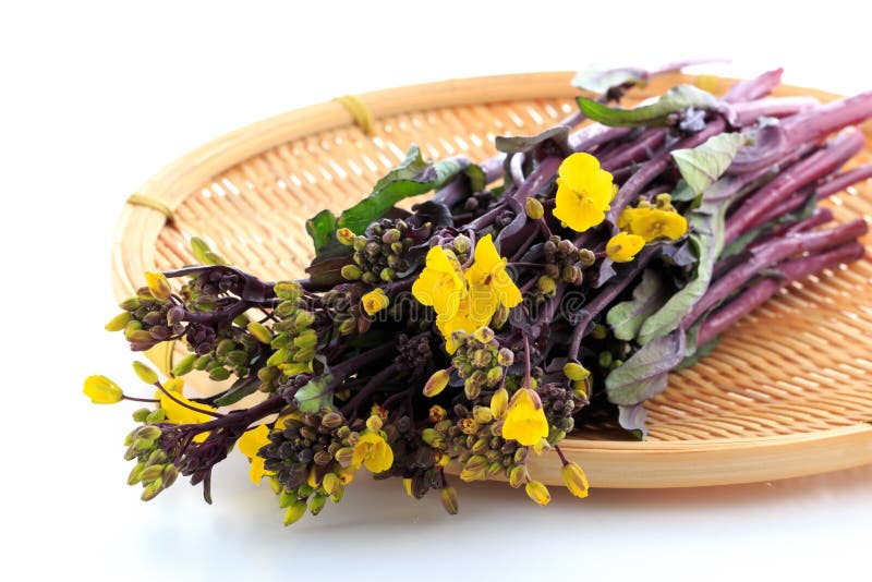 1,091 Mustard Stem Photos - Free & Royalty-Free Stock Photos from ...