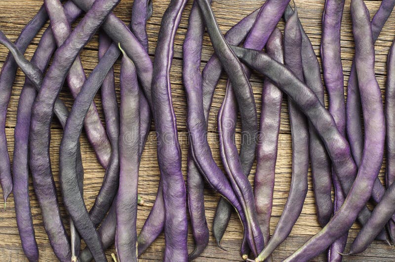 Purple string beans stock photo. Image of table, retail - 33732476
