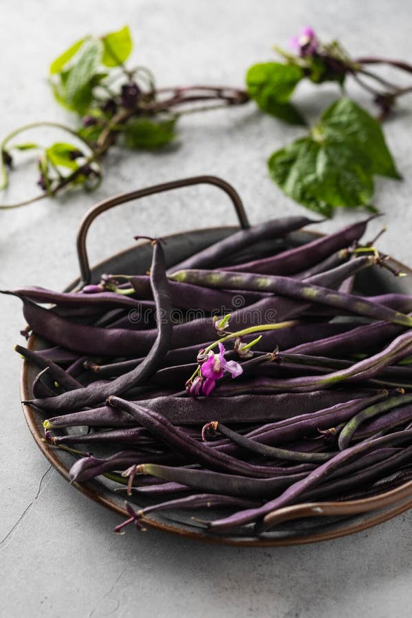 Purple String Beans on Metal Tray, Grey Backround Stock Photo - Image ...