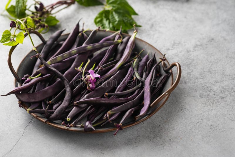 Purple String Beans on Metal Tray, Grey Backround. Stock Image - Image ...
