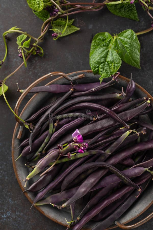 Fresh Purple String Beans on a Black Table, Clean Eating, Selective ...