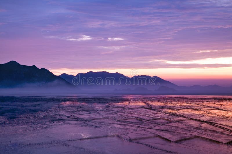 Purple Sunrise stock photo. Image of sand, beautiful - 13310764