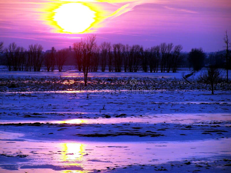 Purple Sunset_ stock photo. Image of clouds, purple, trees - 4571758