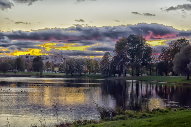 Purple Sunset Over a Pond in a Park Stock Photo - Image of color ...