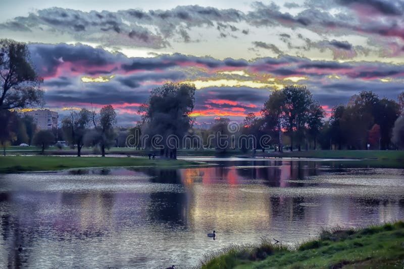 Purple Sunset Over a Pond in a Park Stock Image - Image of pond ...