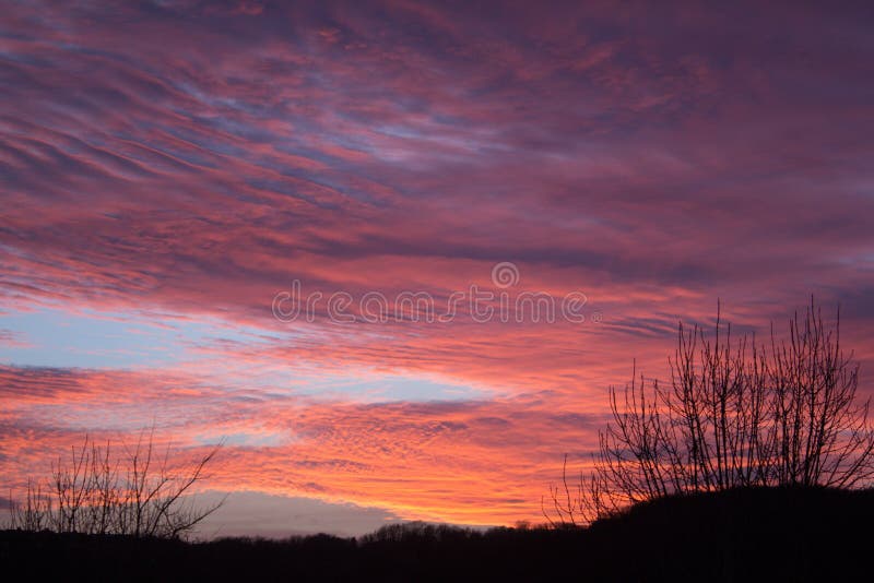 Purple Sunset with Tree Silhouette Stock Image - Image of branches ...