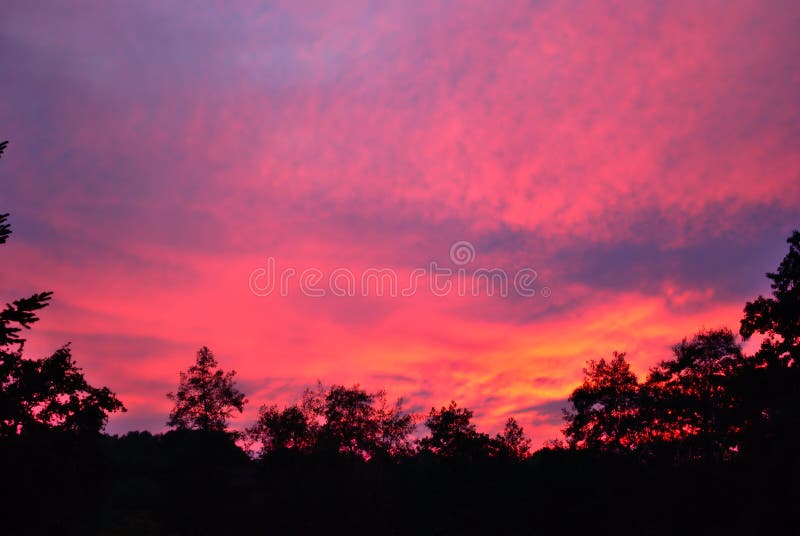 Purple Sunset Over a Forest Stock Photo - Image of reflecting, forest ...