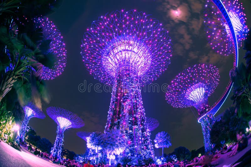 Purple super tree editorial photo. Image of structure - 357073341