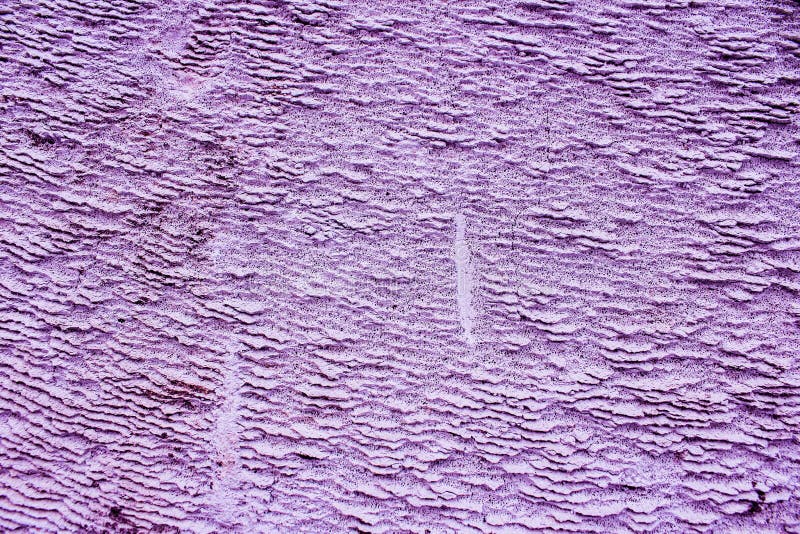 Purple Texture on the Concrete Wall Stock Photo - Image of purple ...