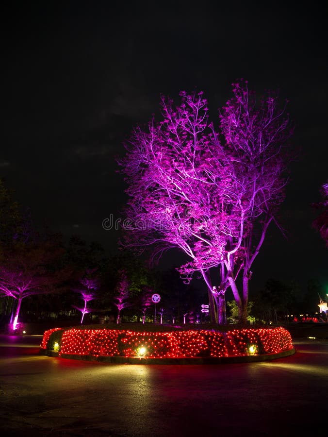 Purple tree at night scene stock image. Image of glow - 49305603