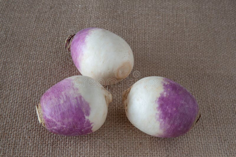 Purple turnip close-up stock image. Image of ingredient - 356363935