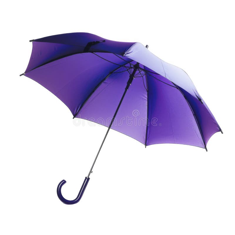 Purple Umbrella with a Black Handle and Curved Tip Stock Photo ...