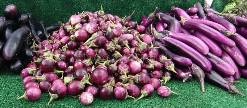 Purple Vegetables stock image. Image of diet, zucchini - 3221627