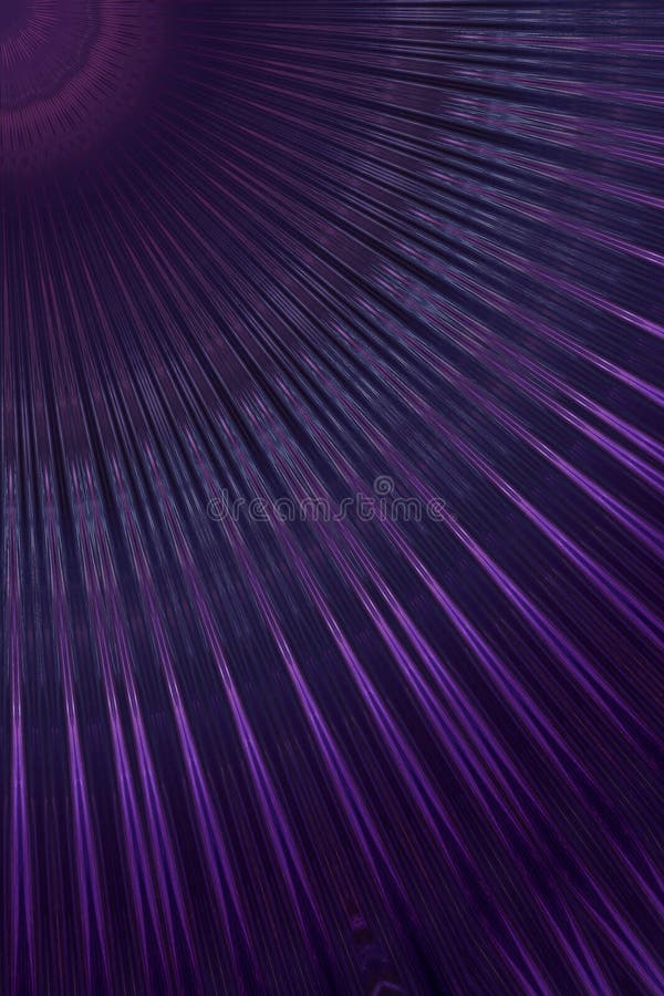 Purple, Violet, Line, Sky Picture. Image: 135690208