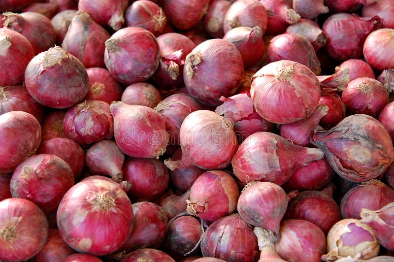 Purple Violet Onions Stack Display Stock Image - Image of consume ...