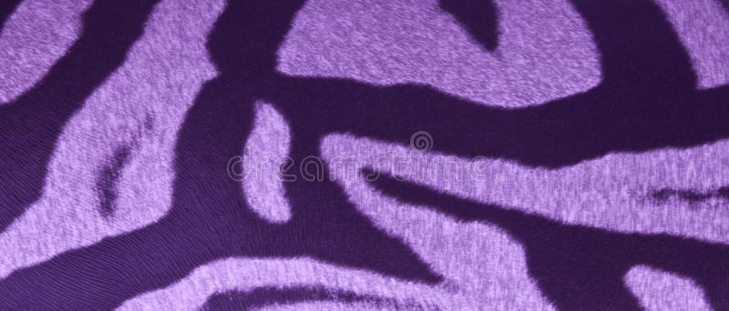 Purple Violet Texture Background Backdrop for Graphic Design Stock ...