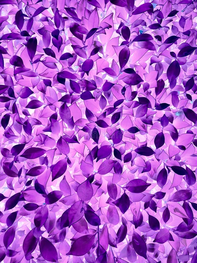 Purple Or Violet Texture Pattern Background, Violet Ultra Concept Stock ...