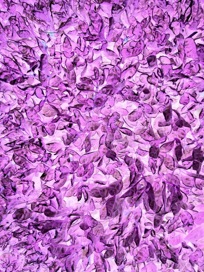 Purple or Violet Texture Pattern Background Stock Illustration ...