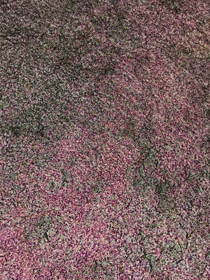 Purple or Violet Texture Pattern Background Stock Illustration ...