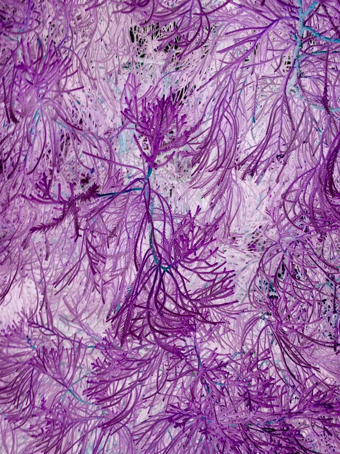 Purple or Violet Texture Pattern Background, Violet Ultra Concept Stock ...