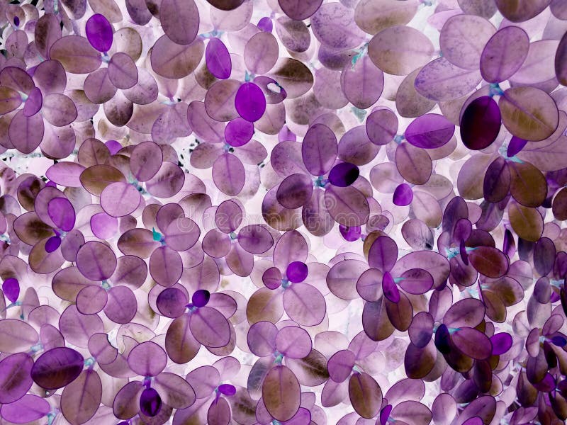 Purple or Violet Texture Pattern Background, Violet Ultra Concept Stock ...