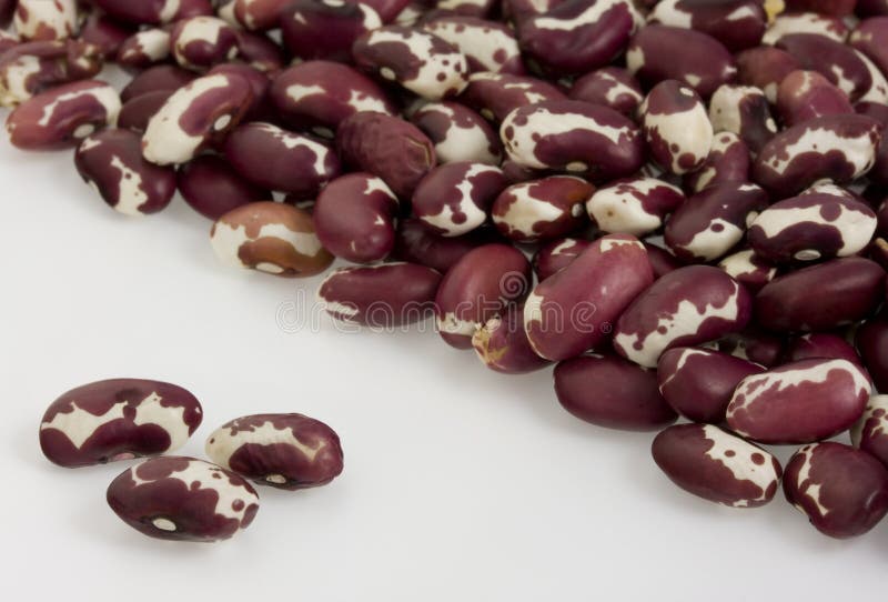 Purple and White Shabby Chic Wedding Table Setting. Close Up. Stock ...