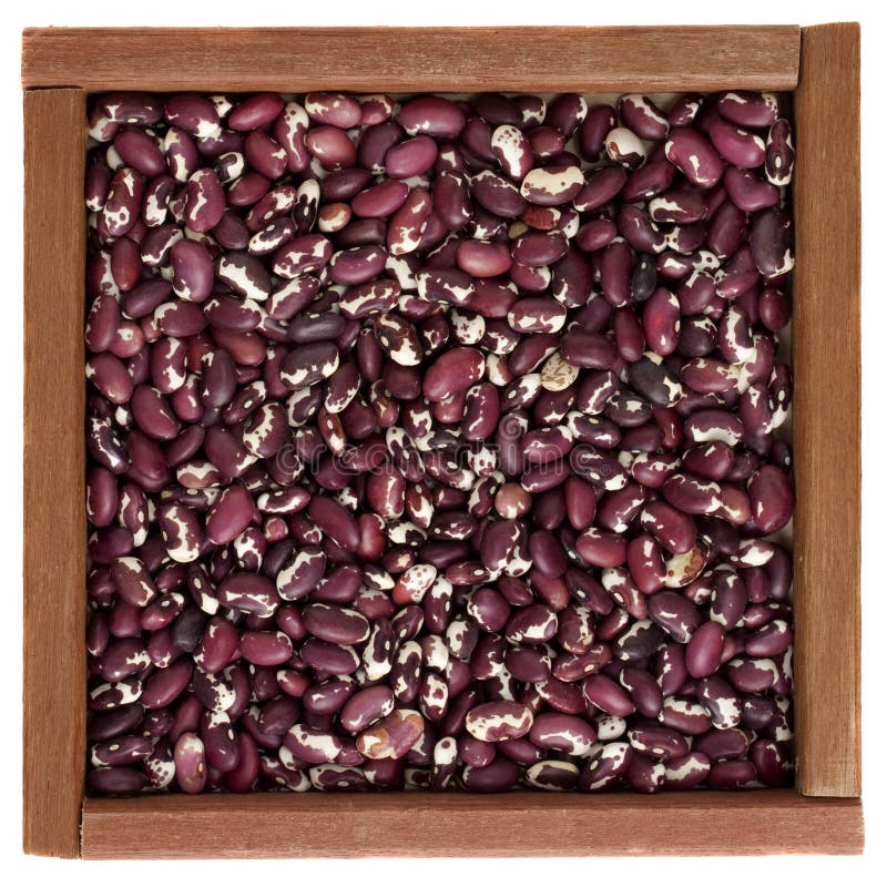 Purple and White Anasazi Beans in a Wooden Box Stock Photo - Image of ...