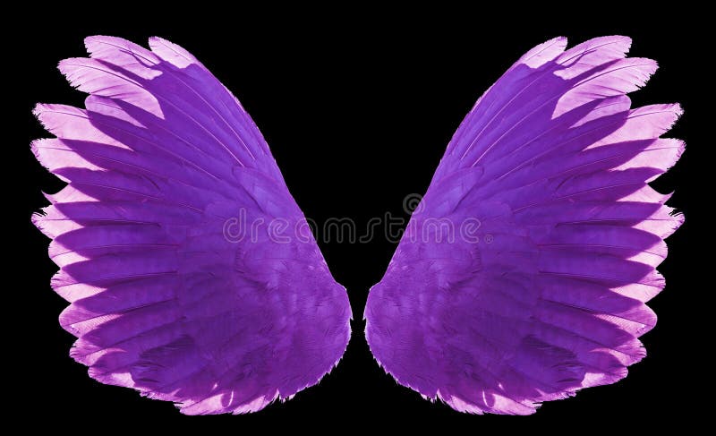 Purple Wings