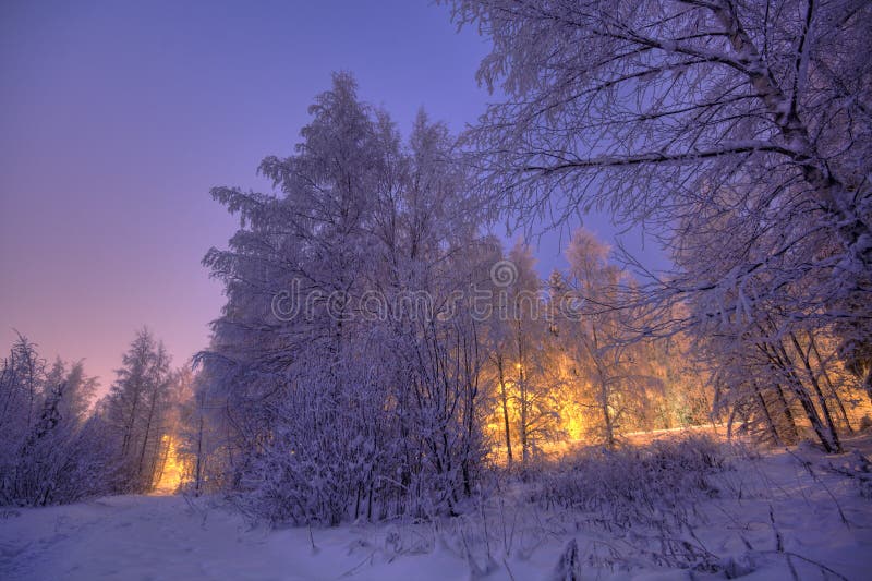 Purple winter landscape stock photo. Image of horizontal - 26691216