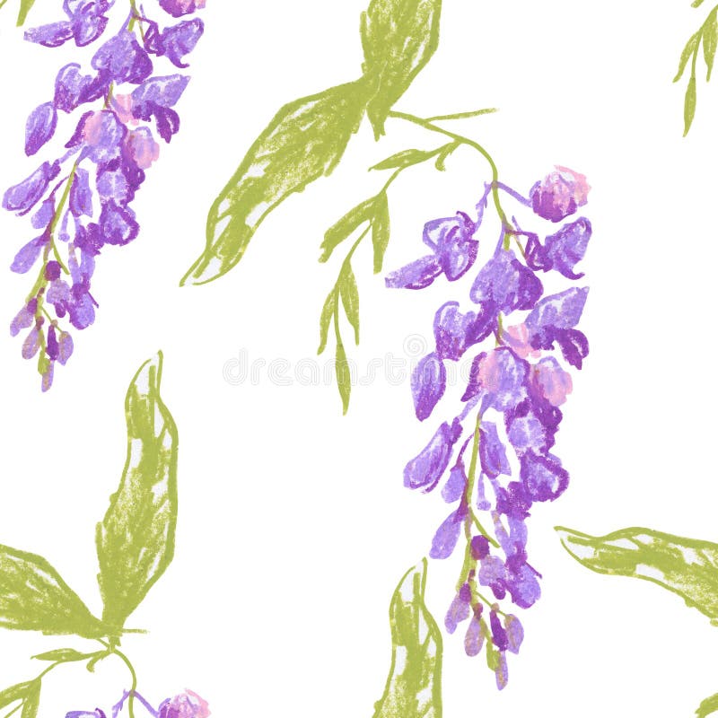 Purple Wisteria Stock Illustrations – 2,431 Purple Wisteria Stock ...