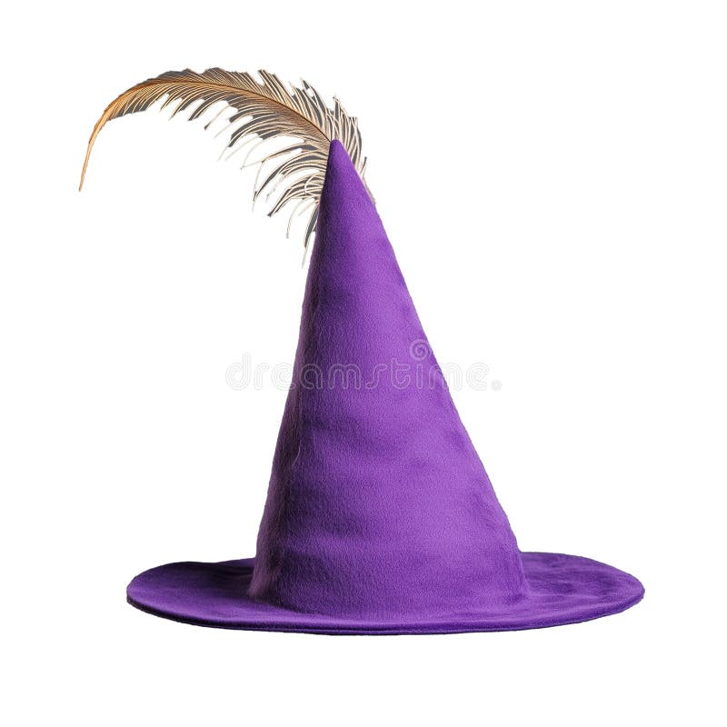 Purple Wizard Hat with Feather on Transparent Background for Magic ...
