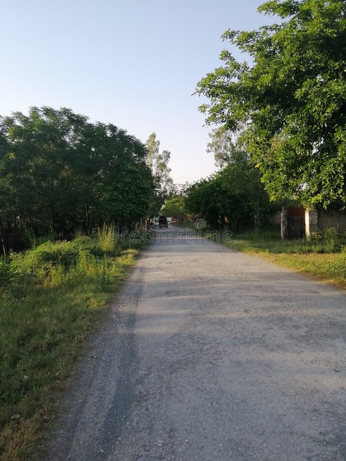 Greenery beside Road in Sikkim Stock Image - Image of green, beautiful ...